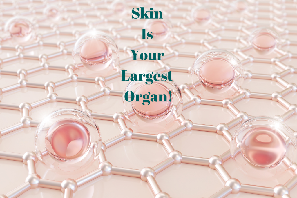 Low-Tox Products - Decrease Your Toxins