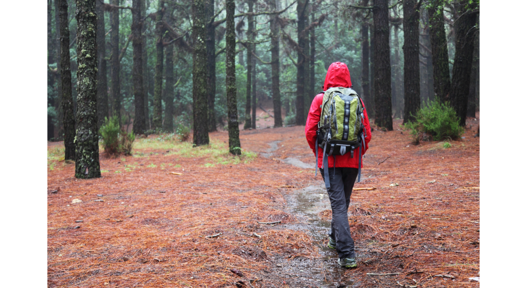 Low-Tox Products - Decrease Your Toxins